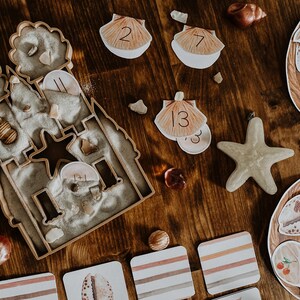 Seashell Unit Study, Ocean Study Unit, Seashell 3 Part Flashcards ...