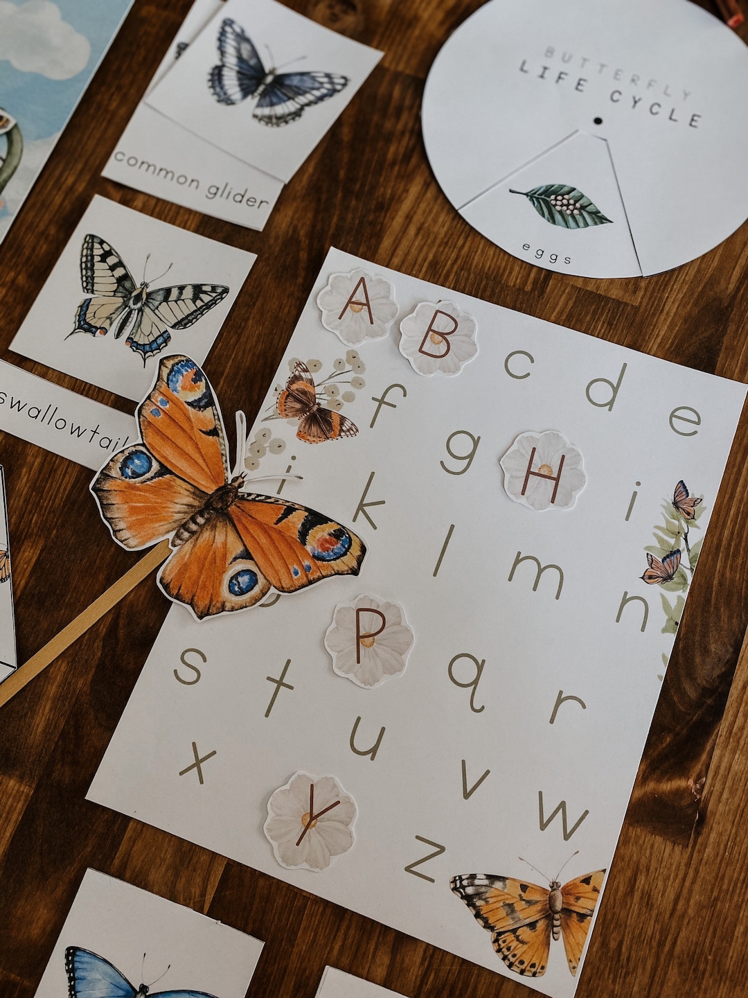 Butterfly Activity Unit, Butterfly Montessori Unit, Nature Flashcards ...
