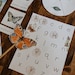 Ant Unit Study Bundle, Nature Study, Homeschool Learning Materials ...
