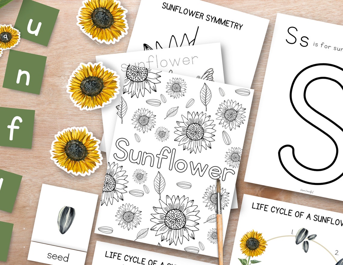 Sunflower Study Unit Nature Study Summer Montessori Unit - Etsy