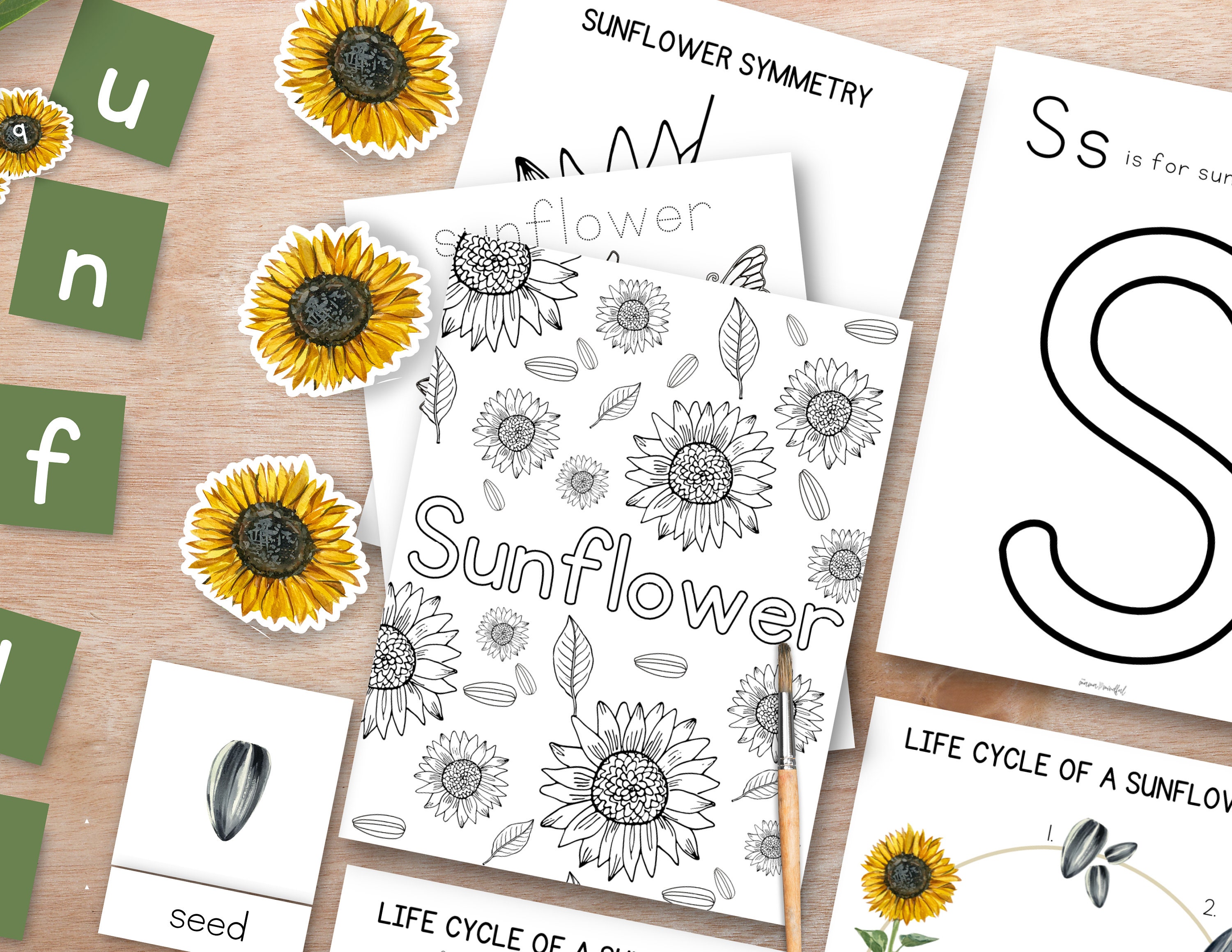 Sunflower Study Unit, Nature Study, Summer Montessori Unit, Nature ...