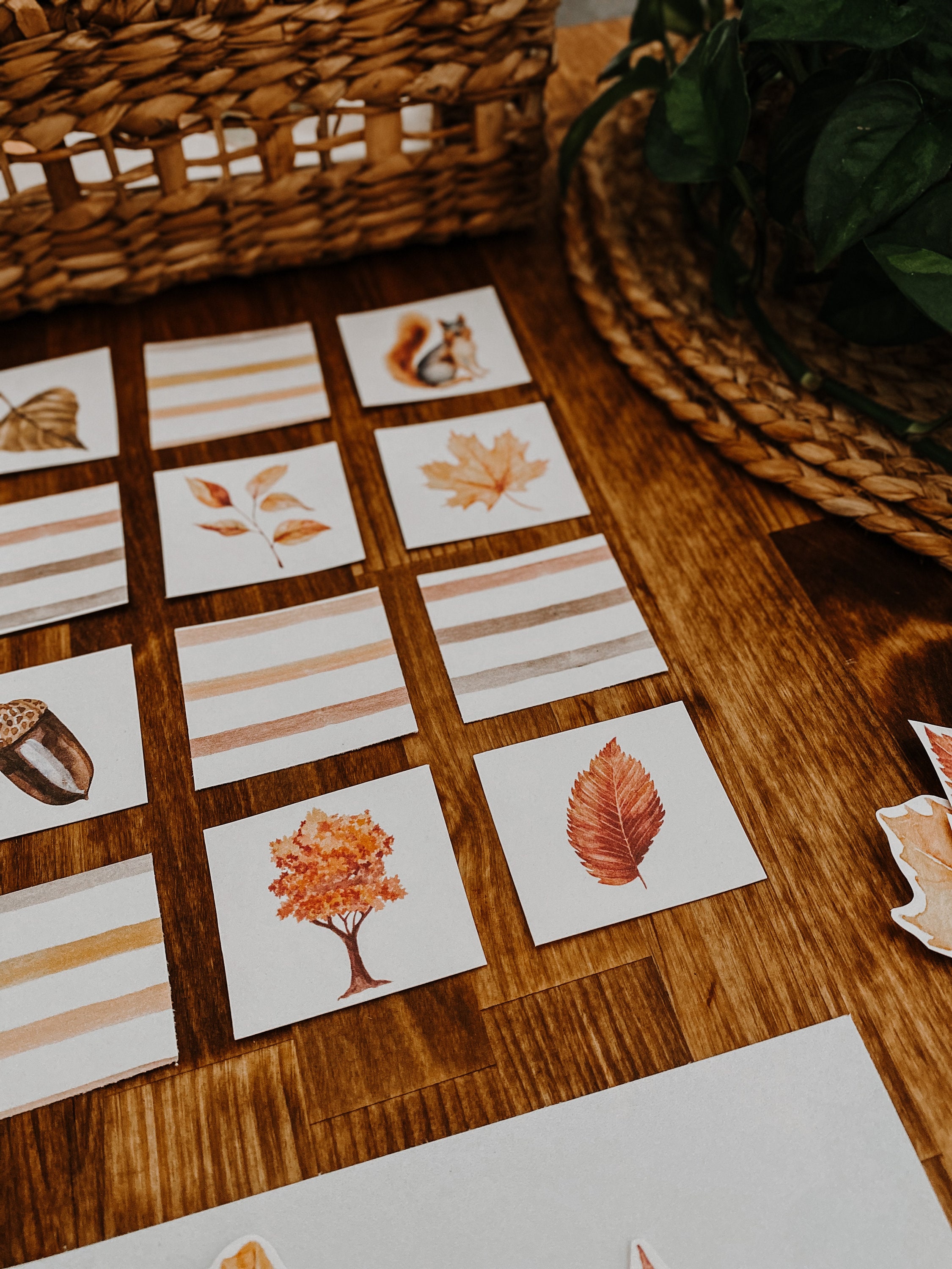 Leaf Activity Unit, Leaf Montessori Unit, Nature Flashcards, Homeschool ...