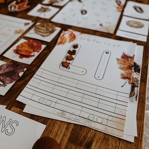 Leaf Activity Unit, Leaf Montessori Unit, Nature Flashcards, Homeschool ...