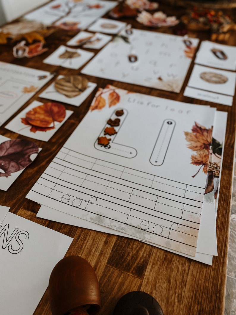Leaf Activity Unit, Leaf Montessori Unit, Nature Flashcards, Homeschool ...