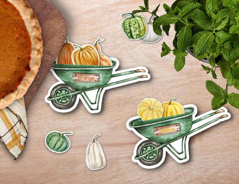 Pumpkin Color Matching Game Toddler Montessori Activity - Etsy