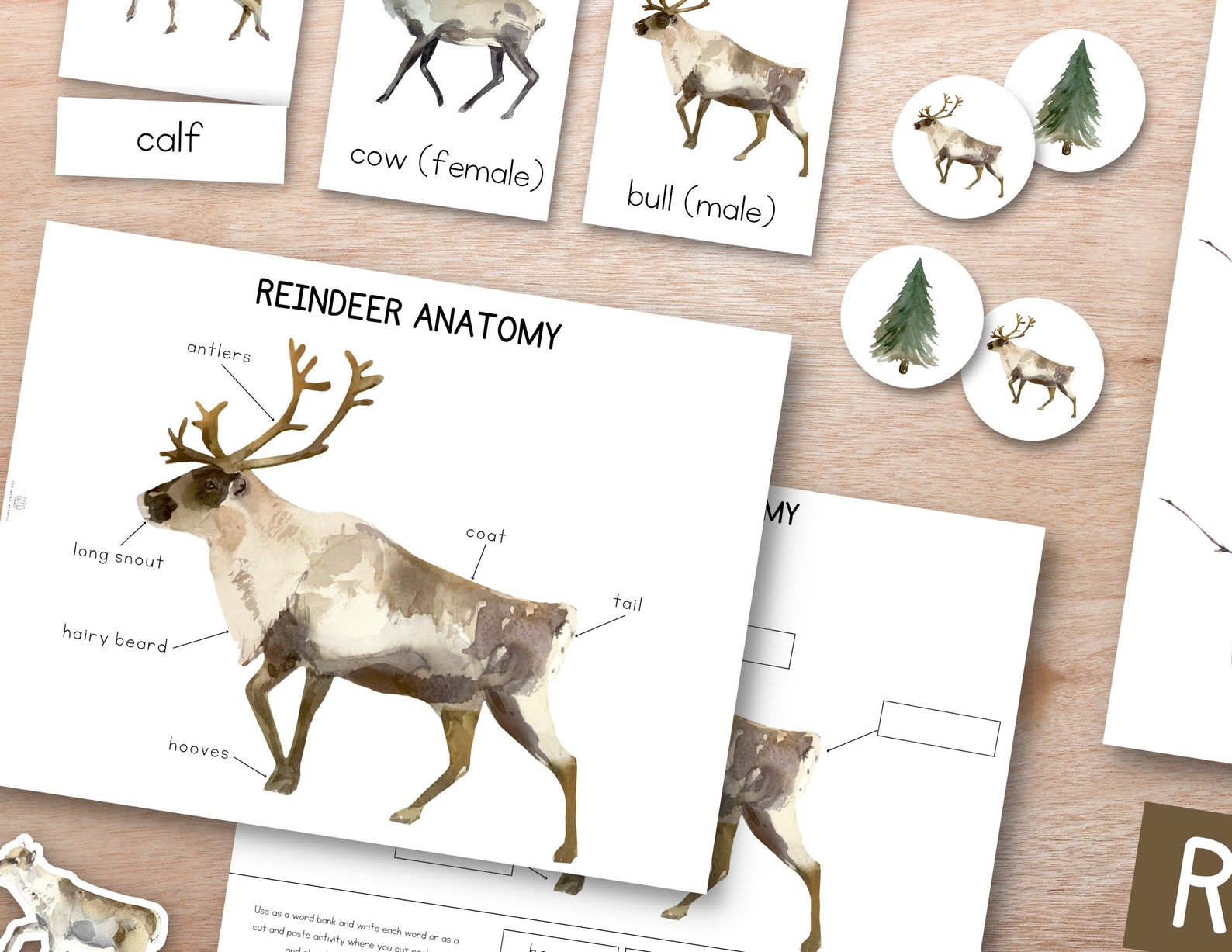 Winter Unit Study Bundle, Reindeer Unit Study, Homeschool Learning ...