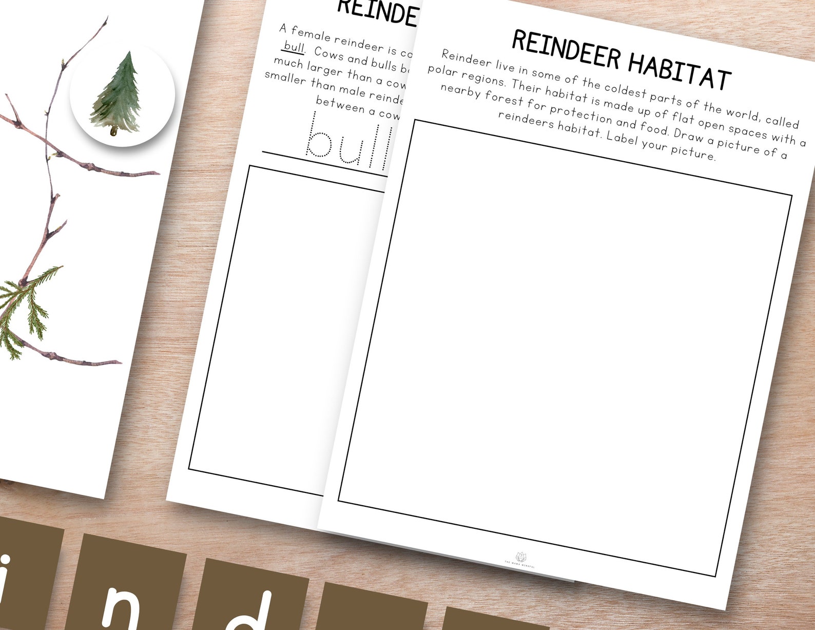 Winter Unit Study Bundle, Reindeer Unit Study, Homeschool Learning ...