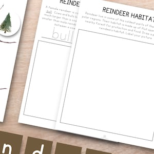 Winter Unit Study Bundle, Reindeer Unit Study, Homeschool Learning ...