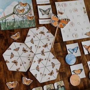 Butterfly Activity Unit, Butterfly Montessori Unit, Nature Flashcards ...