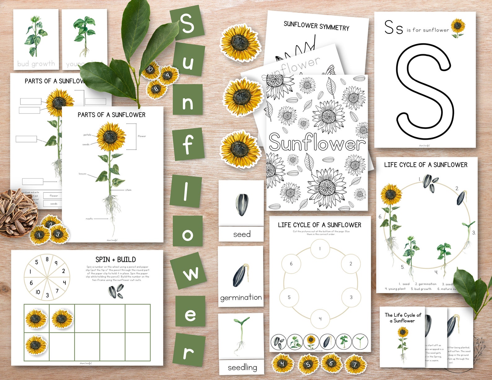 Sunflower Study Unit Nature Study Summer Montessori Unit - Etsy