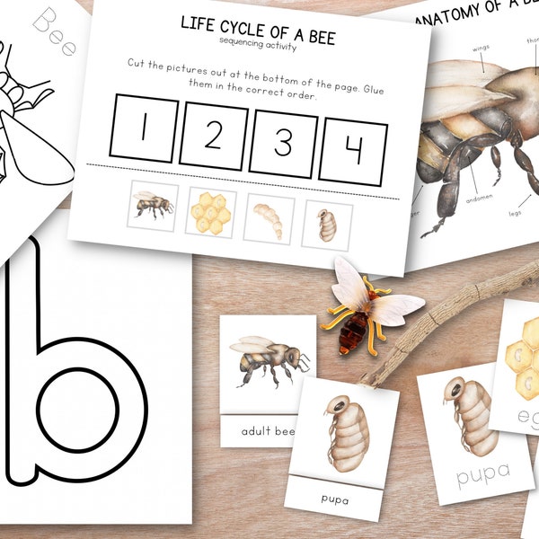 Honey Bee Unit - Etsy