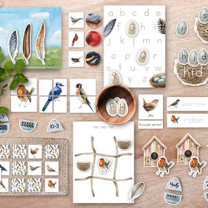 Bird Activity Unit, Backyard Birds Montessori Unit, Nature Flashcards ...