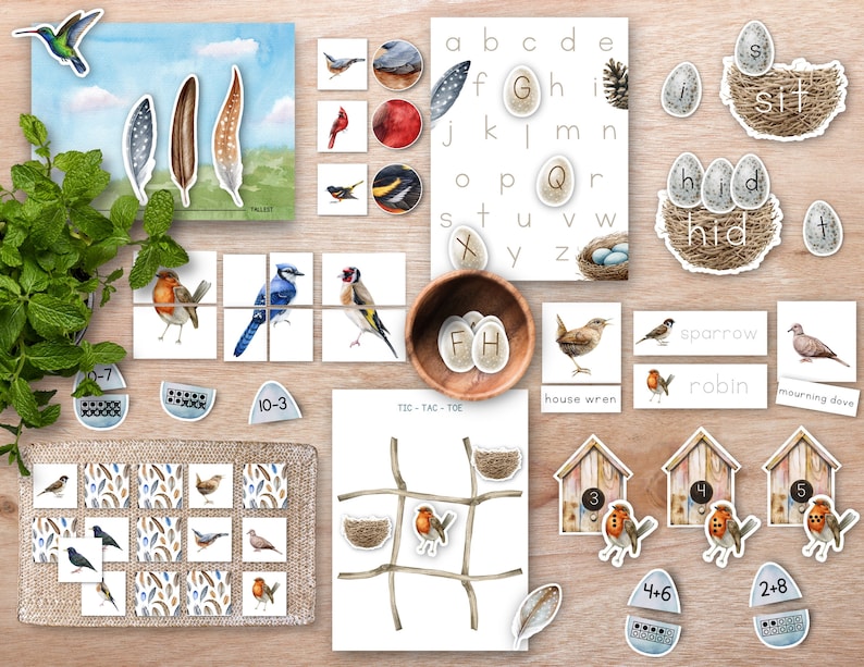 Bird Activity Unit, Backyard Birds Montessori Unit, Nature Flashcards ...
