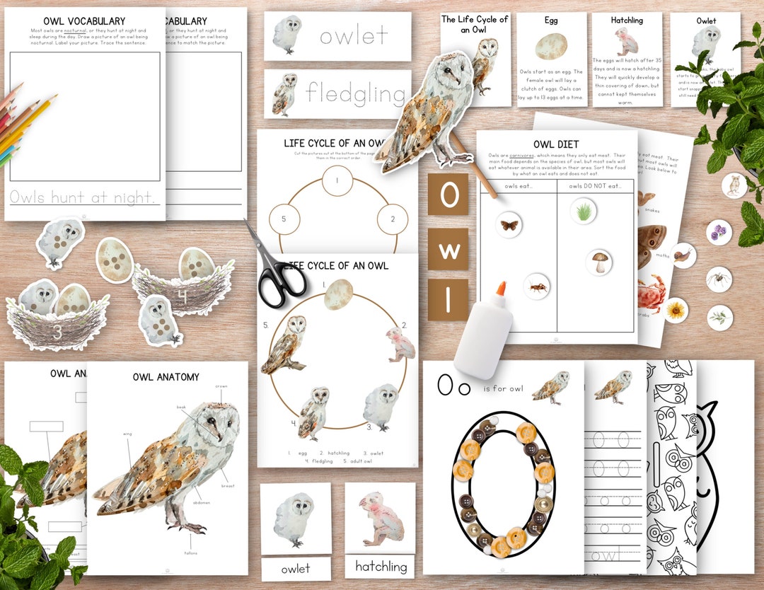 Owl Unit Study Bundle, Owl Study, Fall Montessori Unit, Nature ...