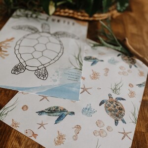 Turtle Playdough Mat, Turtle Shell, Turtle Life Cycle, Ocean Playdough ...