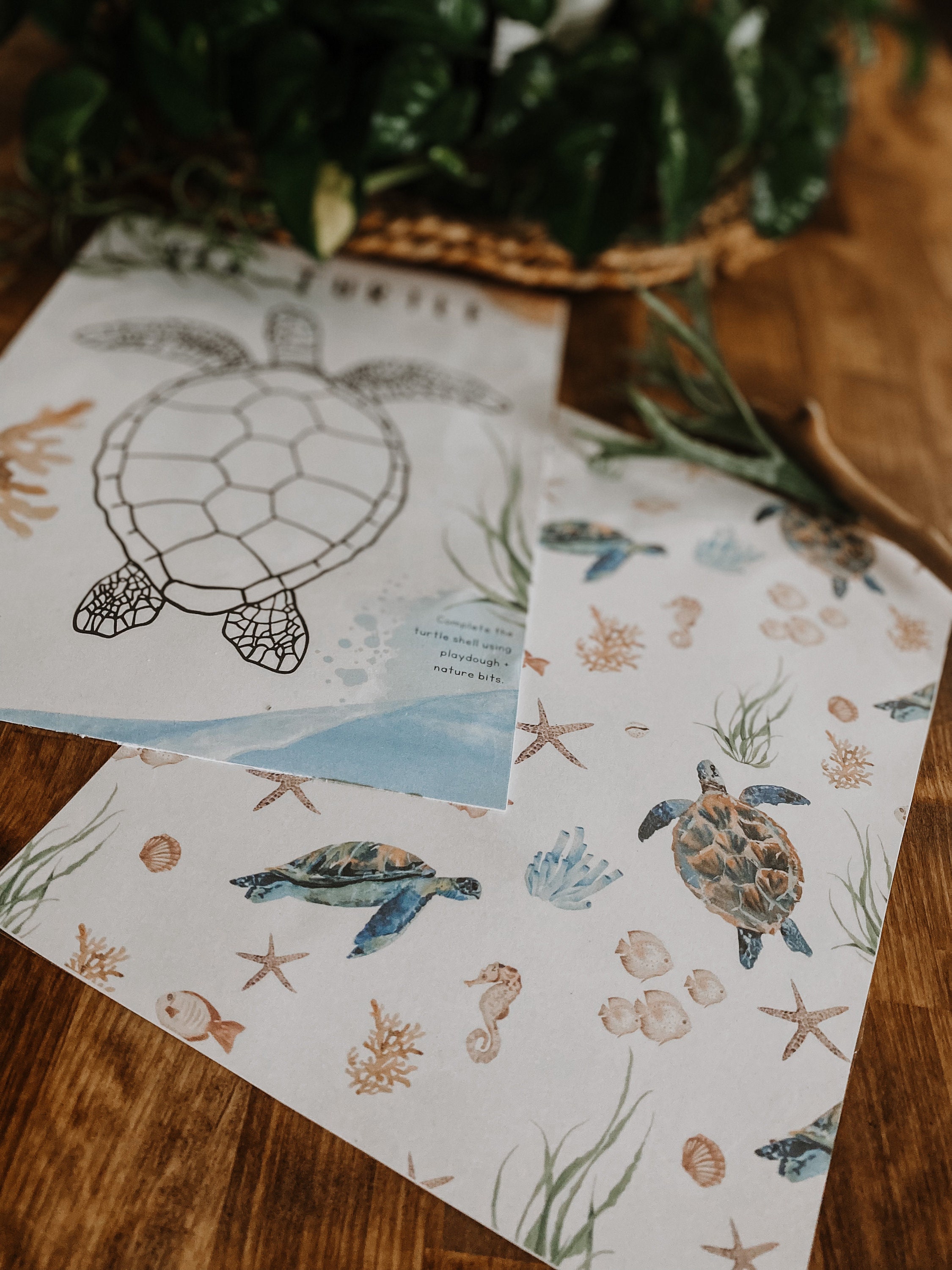 Turtle Playdough Mat, Turtle Shell, Turtle Life Cycle, Ocean Playdough ...