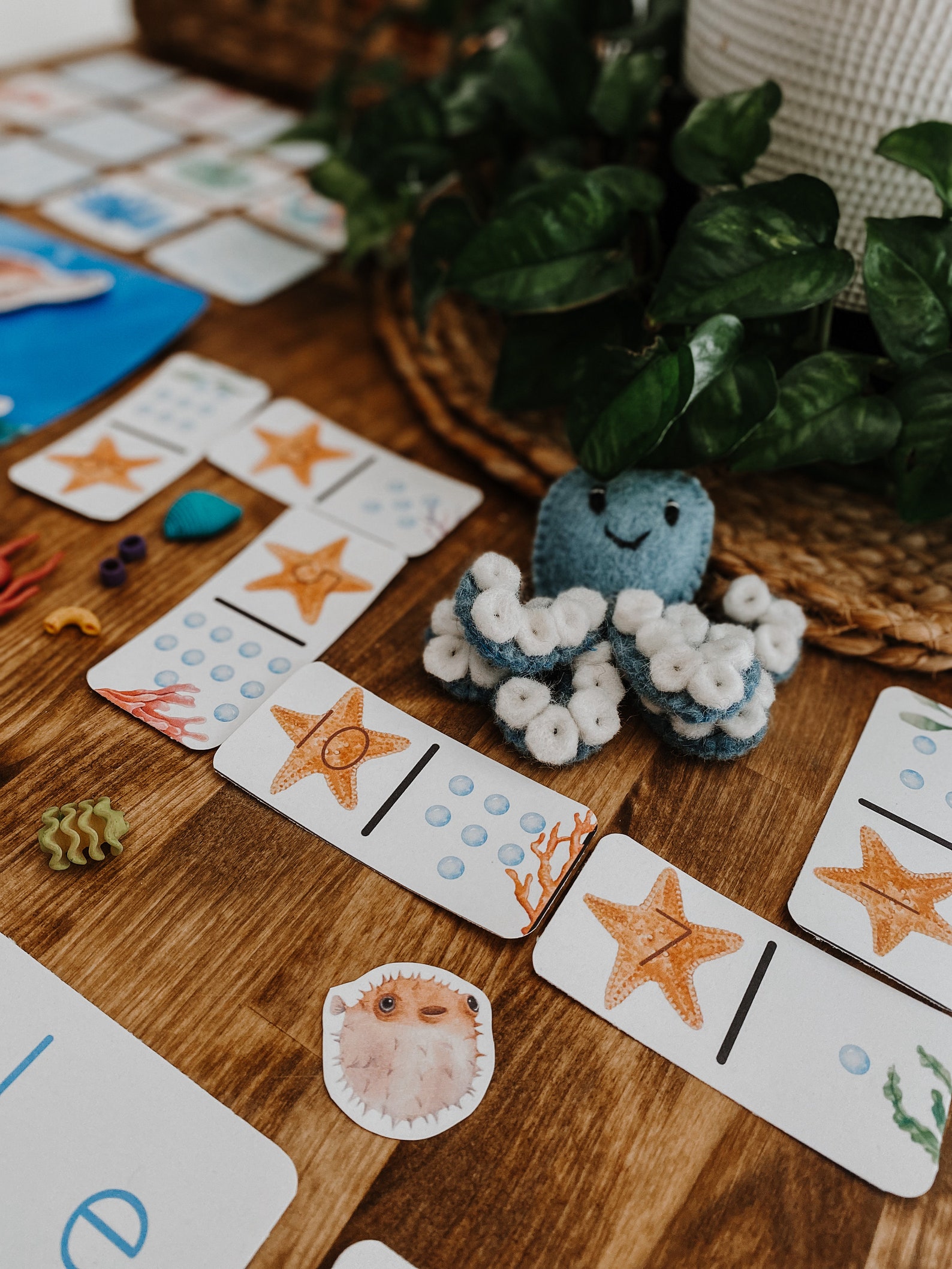 Coral Reef Activity Unit, Ocean Study Unit, 3 Part Flashcards ...