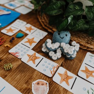 Coral Reef Activity Unit, Ocean Study Unit, 3 Part Flashcards ...