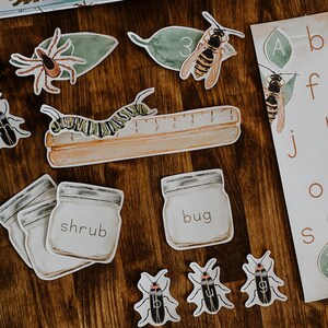 Bug Activity Unit, Insect Montessori Unit, Nature Flashcards ...