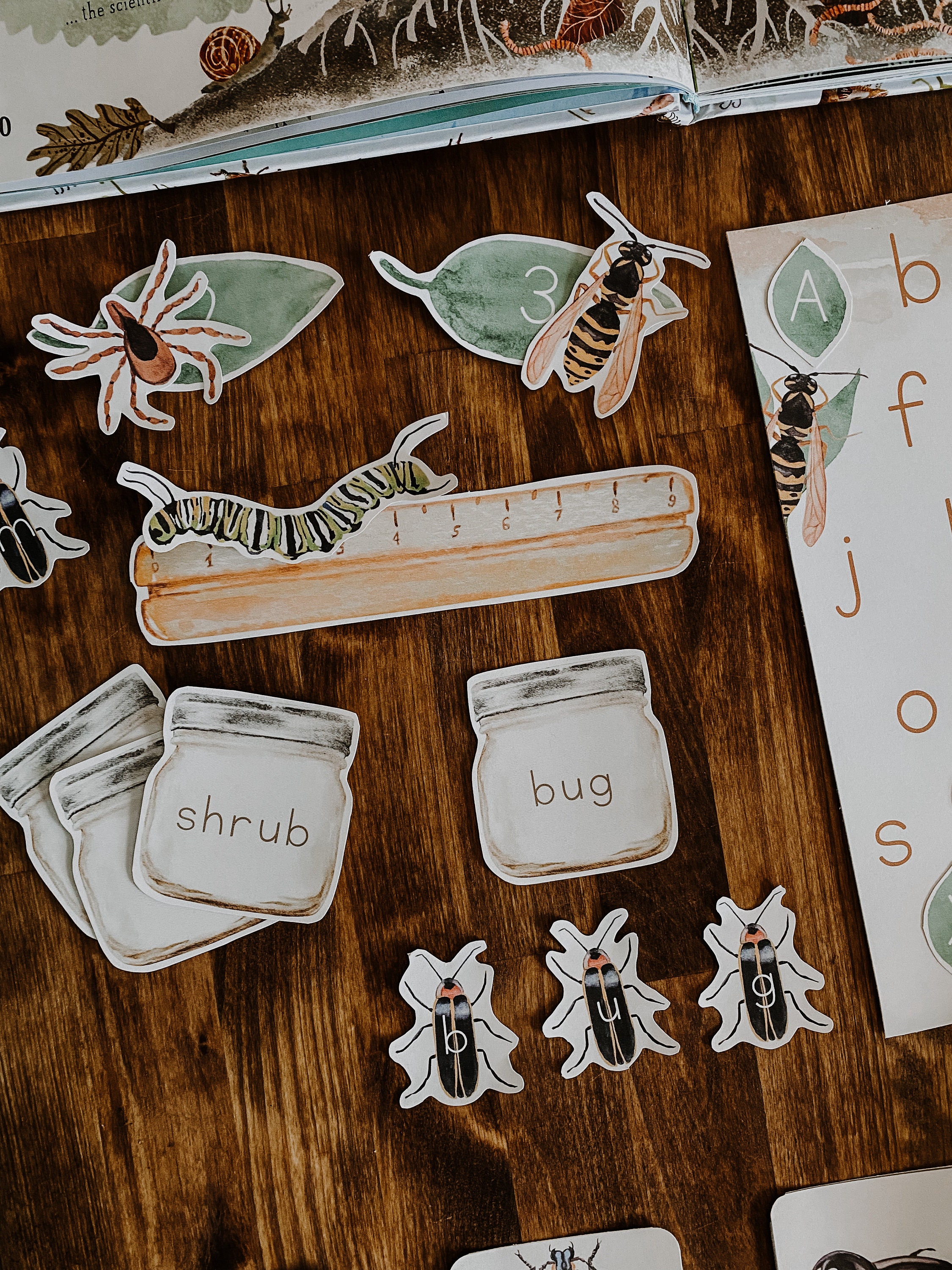 Bug Activity Unit, Insect Montessori Unit, Nature Flashcards ...