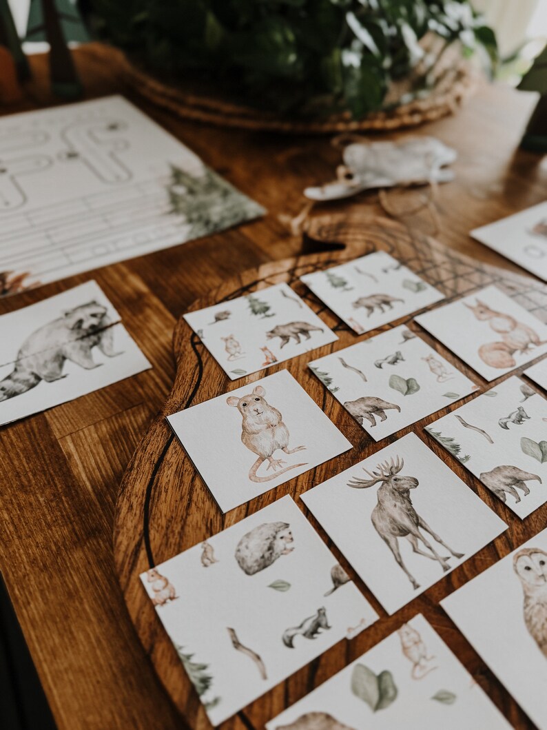 Woodland Animals Activity Unit, Forest Montessori Unit, Nature ...