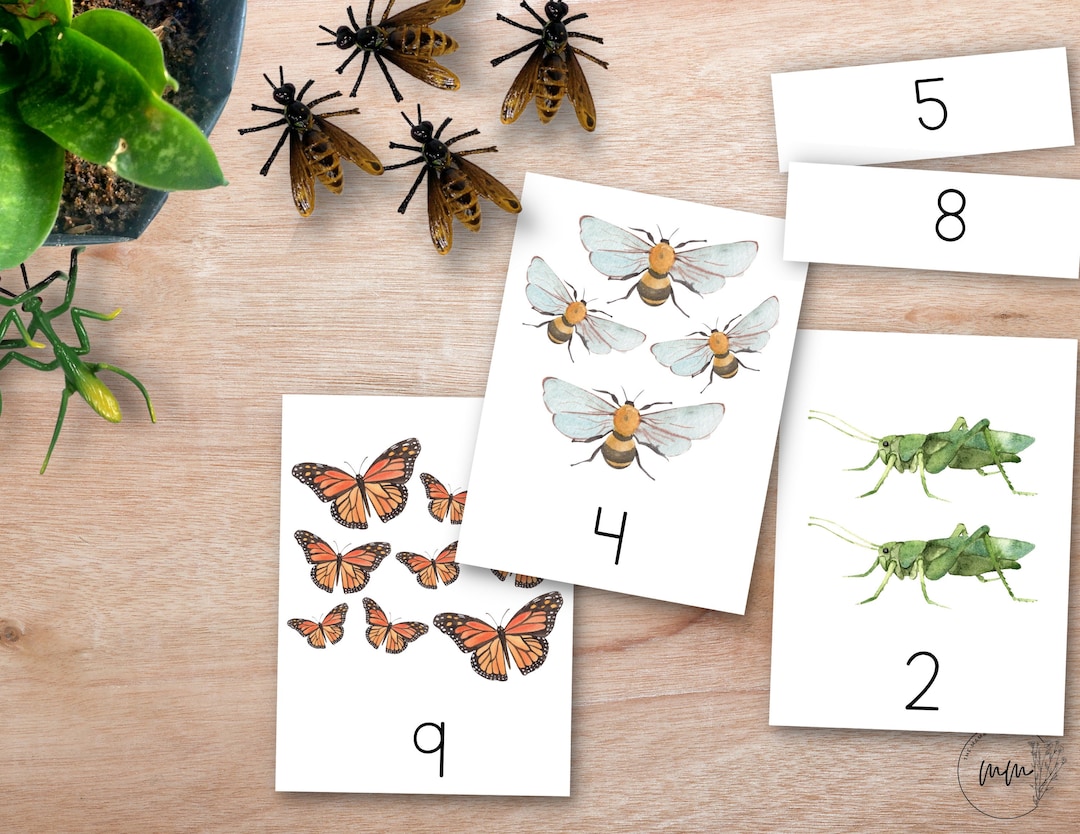 Insect Flashcards Count to 10 Montessori Nomenclature Cards, Spring ...