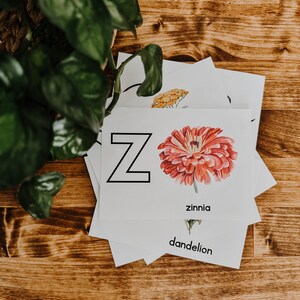 Spring Cards for Kids, Spring Theme Flashcards, Spring Preschool ...