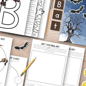 Bat Unit Study Bundle, Bat Study, Bat Life Cycle, Fall Montessori Unit ...