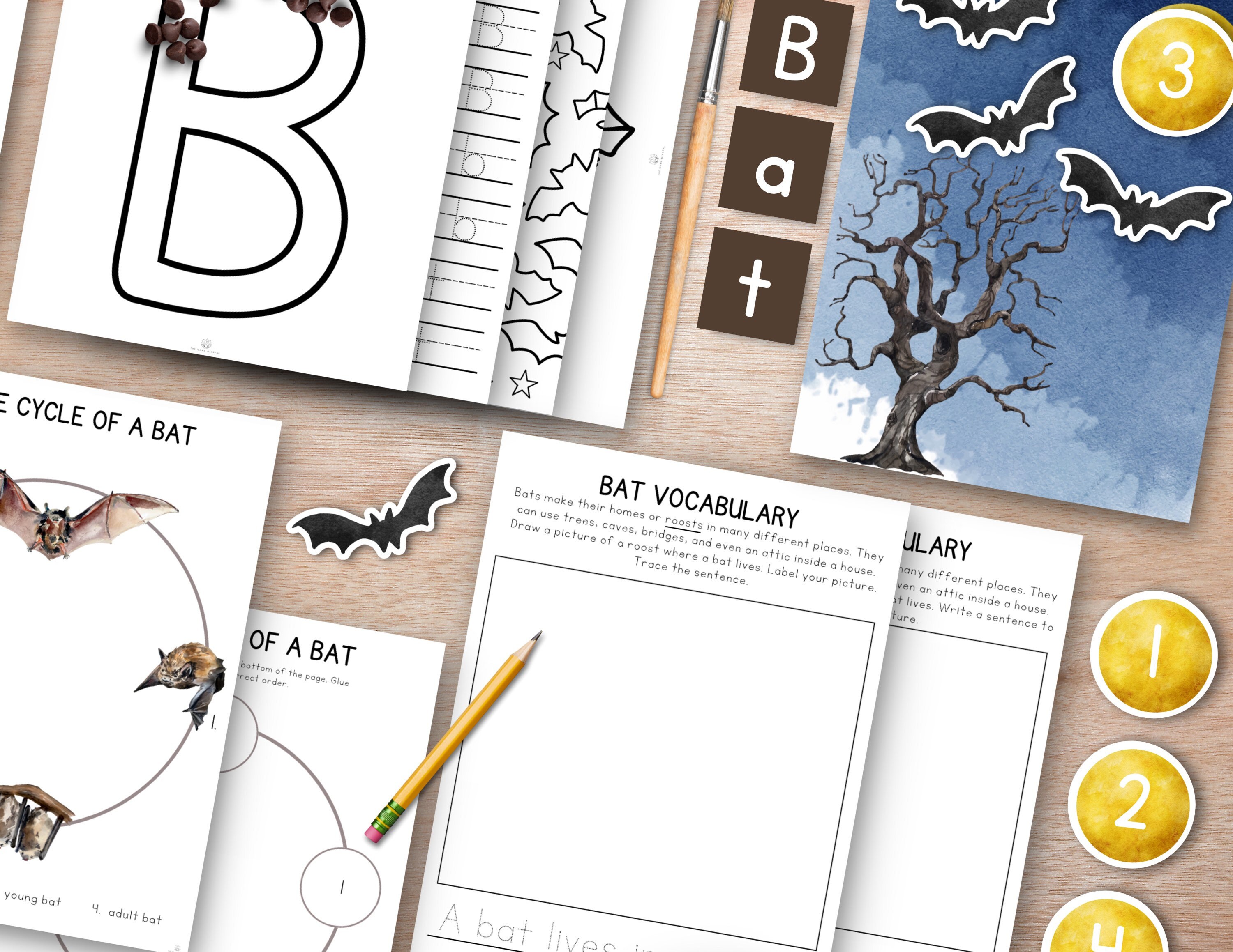 Bat Unit Study Bundle Bat Study Bat Life Cycle Fall - Etsy