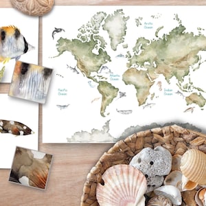 Ocean Unit Study Bundle, Montessori Summer, 3 Part Cards, Math Number ...