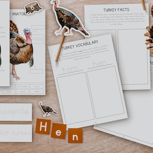 Turkey Unit Study Bundle, Thanksgiving Study, Fall Montessori Unit ...