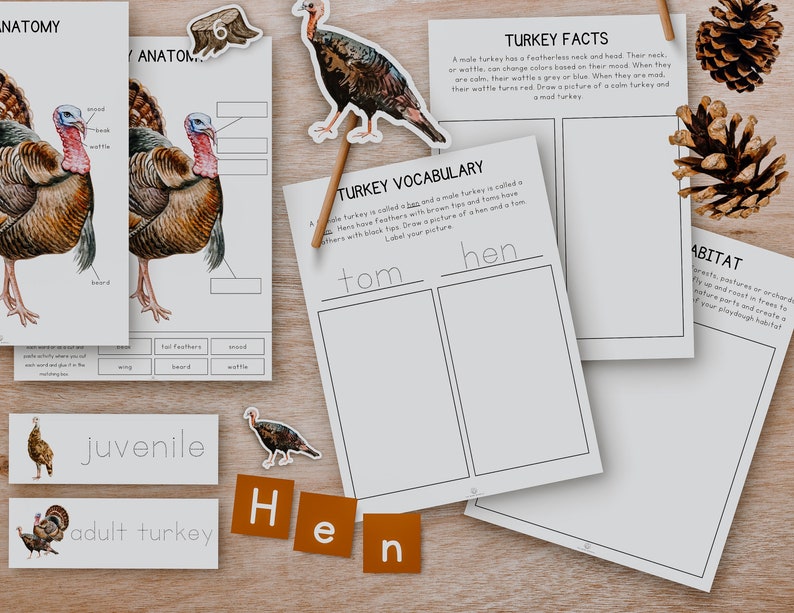 Turkey Unit Study Bundle, Thanksgiving Study, Fall Montessori Unit ...