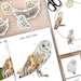 Owl Unit Study Bundle, Owl Study, Fall Montessori Unit, Nature ...