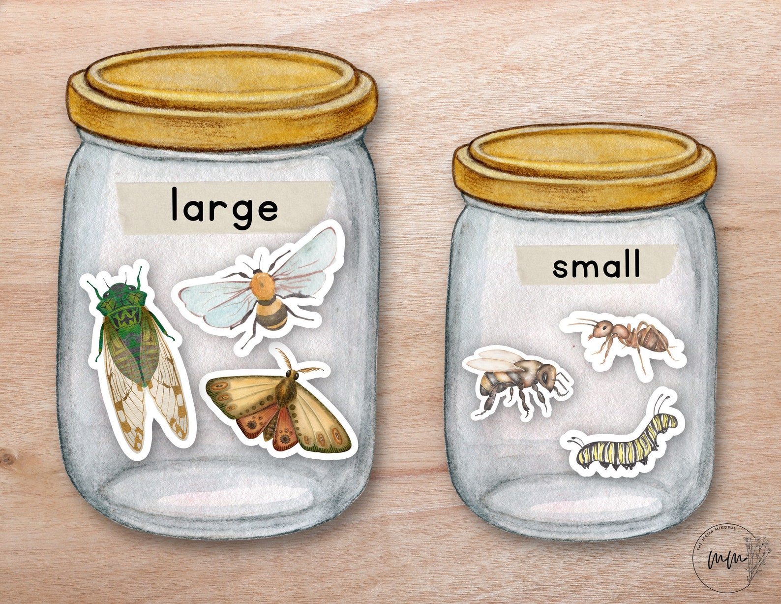 Insect Size Sorting Activity, Insect Size Match, Montessori Nature Unit ...
