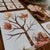 Montessori Garden 3 Part Cards, Garden Flashcards, Preschool Garden ...