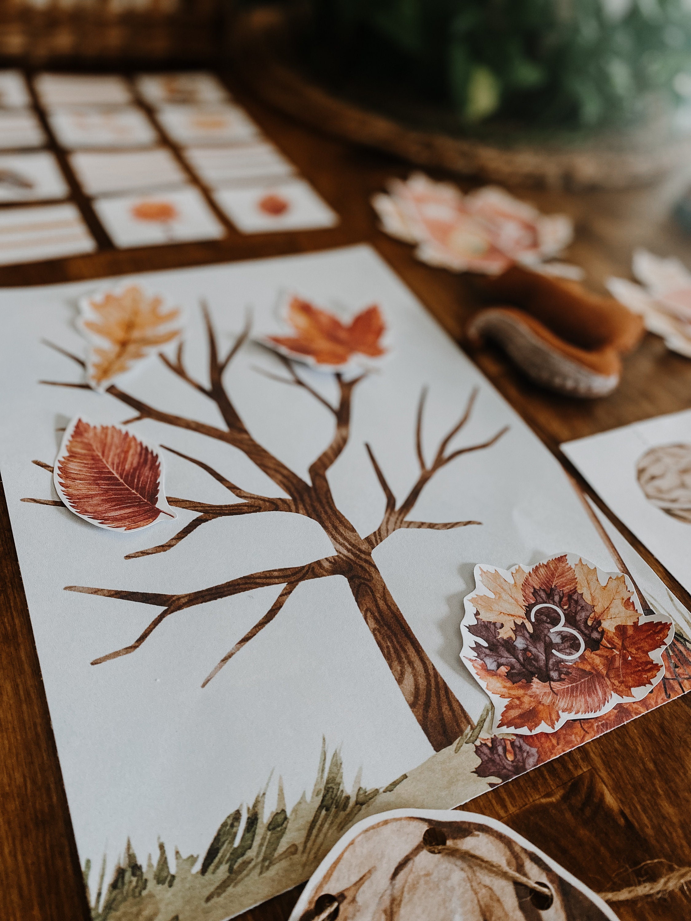 Leaf Activity Unit, Leaf Montessori Unit, Nature Flashcards, Homeschool ...