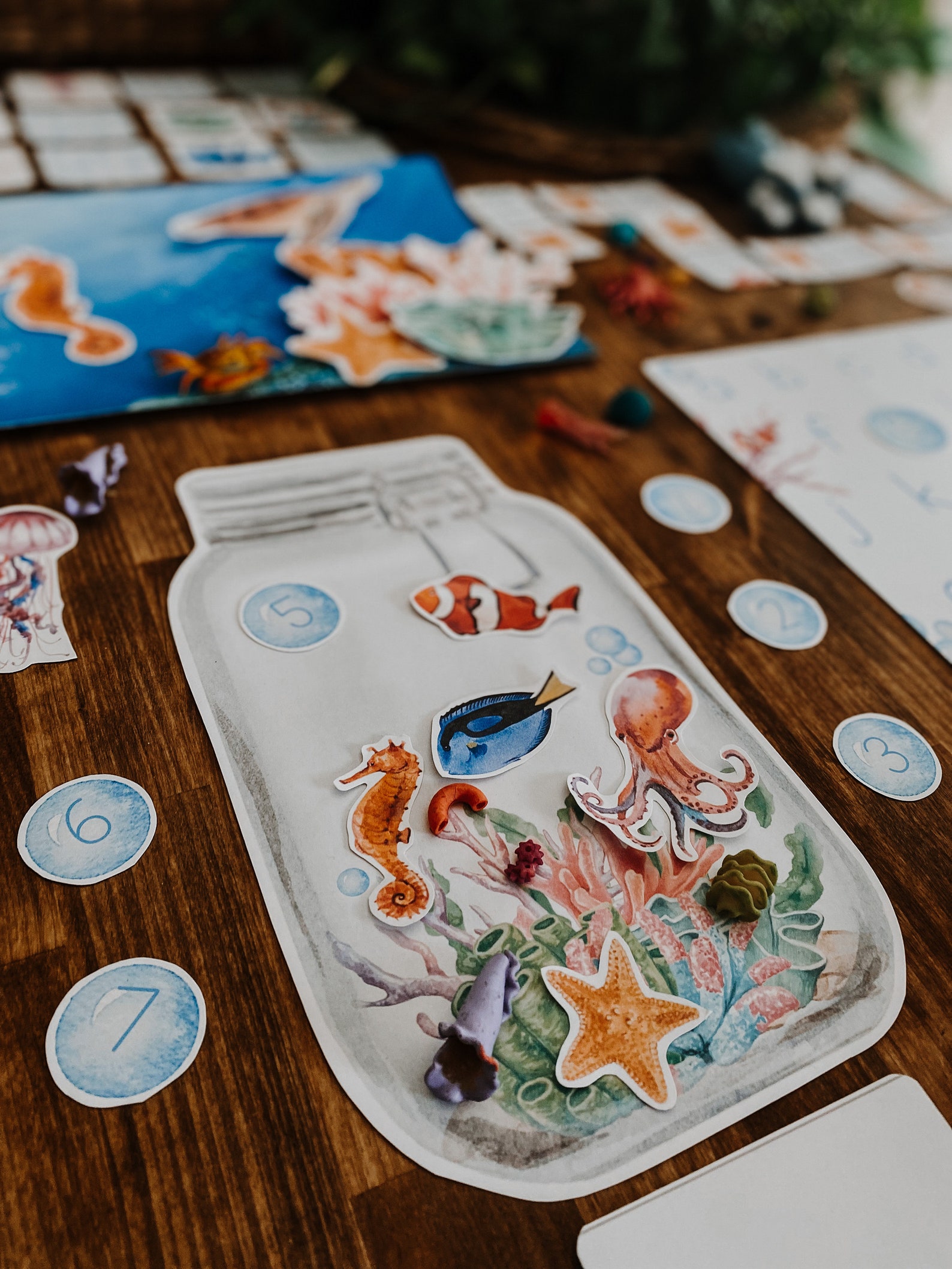 Coral Reef Activity Unit, Ocean Study Unit, 3 Part Flashcards ...