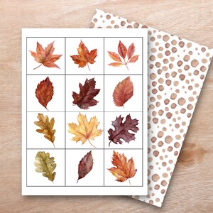 Fall Matching Game, Toddler Montessori Activity, Preschool Nature Match ...