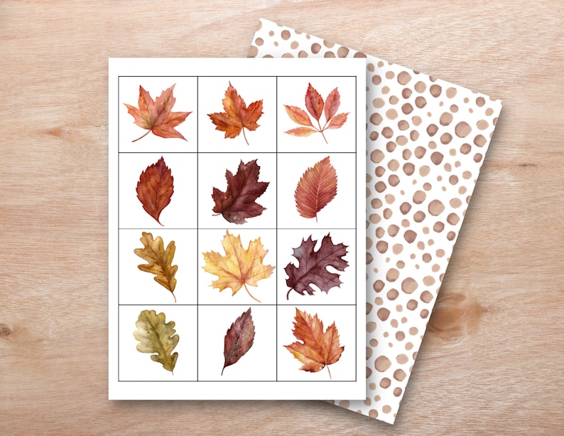 Fall Matching Game, Toddler Montessori Activity, Preschool Nature Match ...