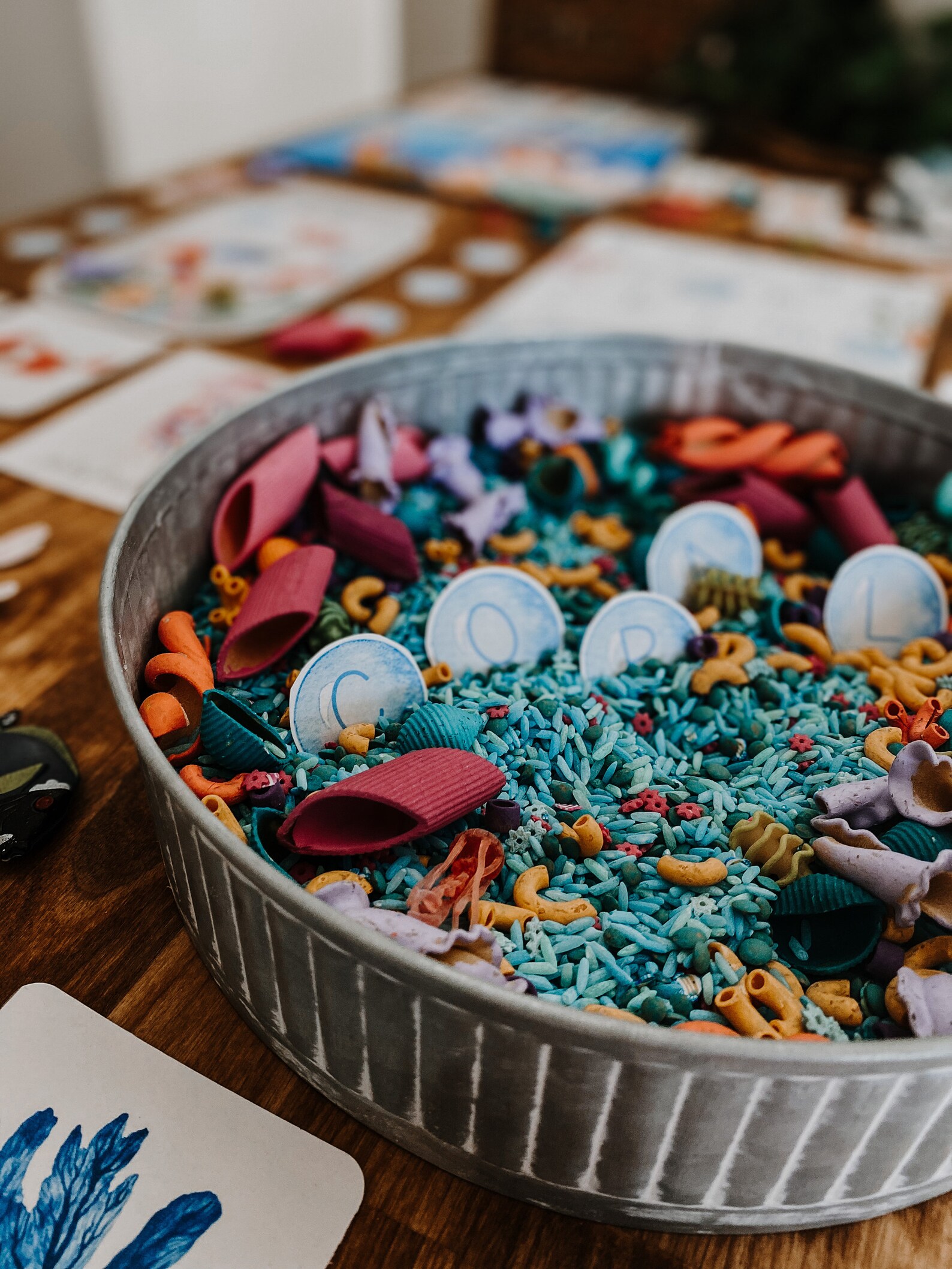 Coral Reef Activity Unit, Ocean Study Unit, 3 Part Flashcards ...