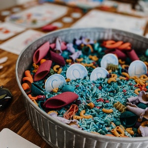 Coral Reef Activity Unit, Ocean Study Unit, 3 Part Flashcards ...