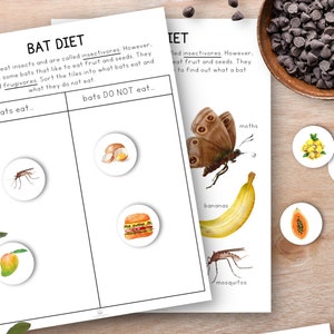 Bat Unit Study Bundle, Bat Study, Bat Life Cycle, Fall Montessori Unit ...