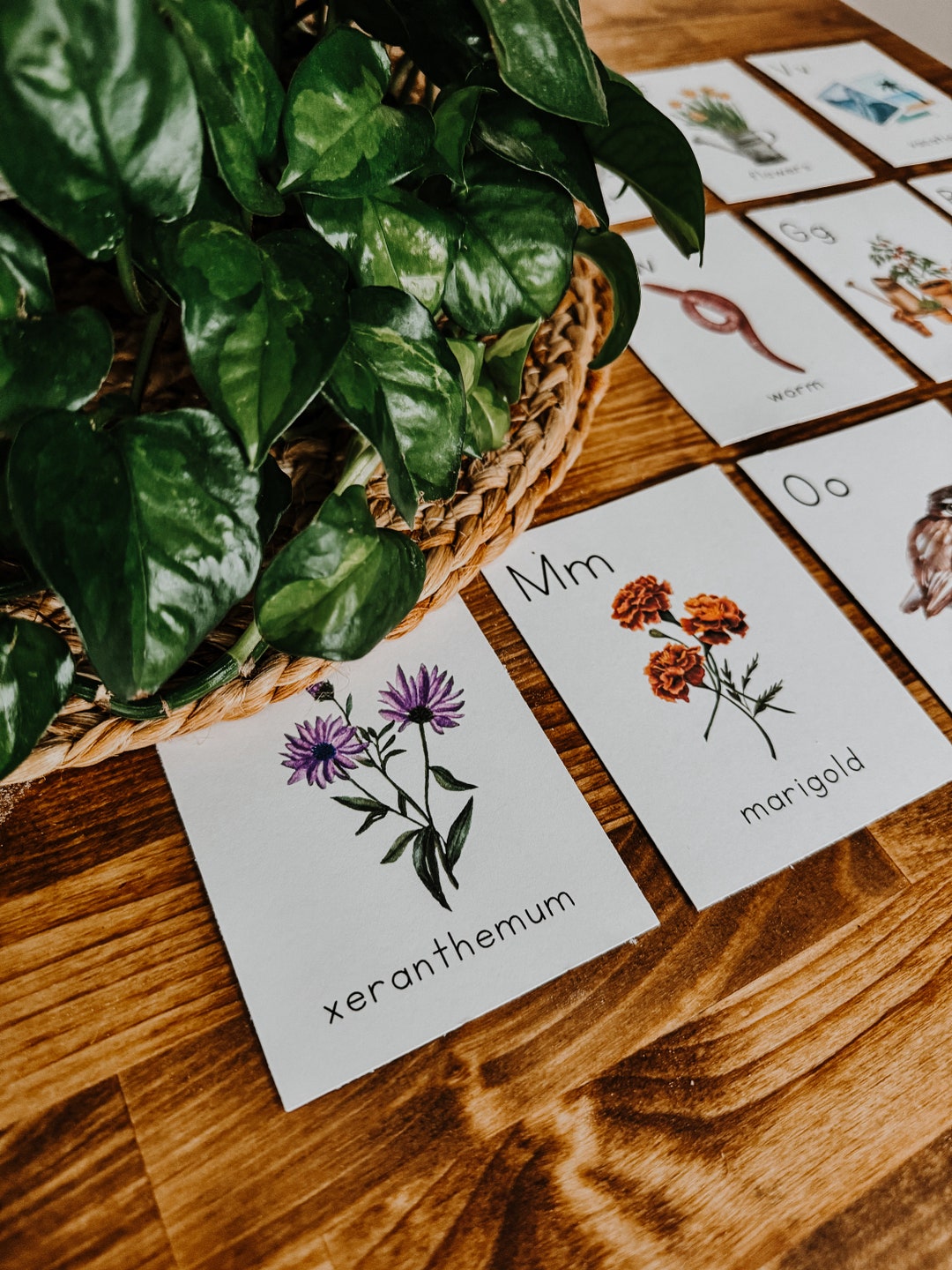 Spring Cards for Kids, Spring Themed Flashcards, Spring Preschool ...