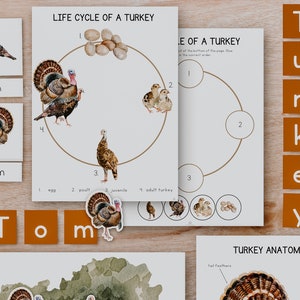 Turkey Unit Study Bundle, Thanksgiving Study, Fall Montessori Unit ...