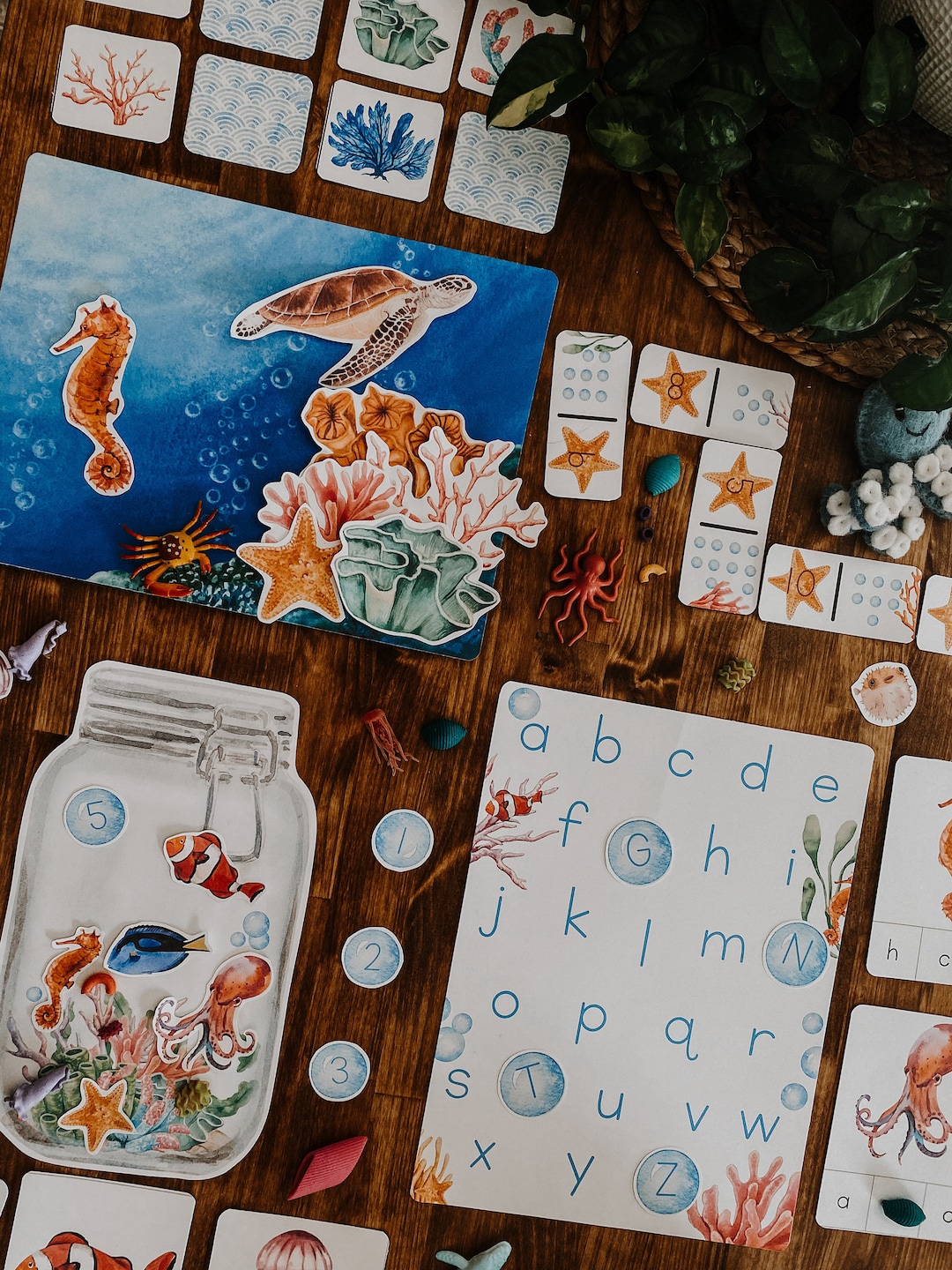 Coral Reef Activity Unit, Ocean Study Unit, 3 Part Flashcards ...