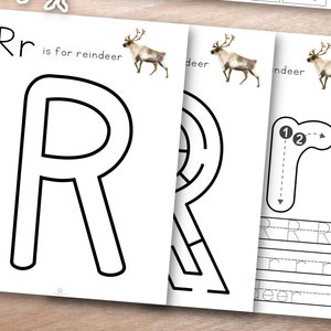 Winter Unit Study Bundle, Reindeer Unit Study, Homeschool Learning ...