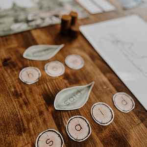 Woodland Animals Activity Unit, Forest Montessori Unit, Nature ...