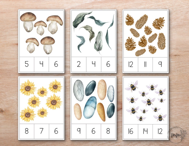Nature Count and Clip Cards 1-20 Number Matching Cards - Etsy