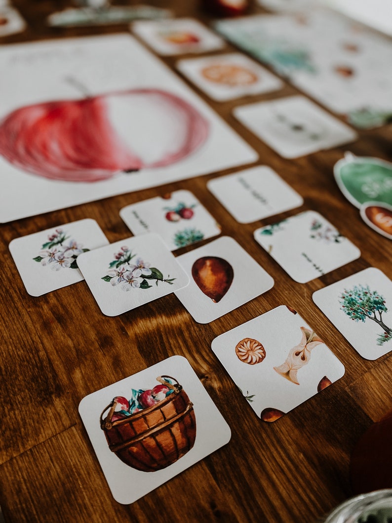 Apple Activity Unit, Apple Montessori Unit, Nature Flashcards ...