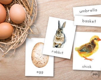 Montessori Flash Cards - Etsy